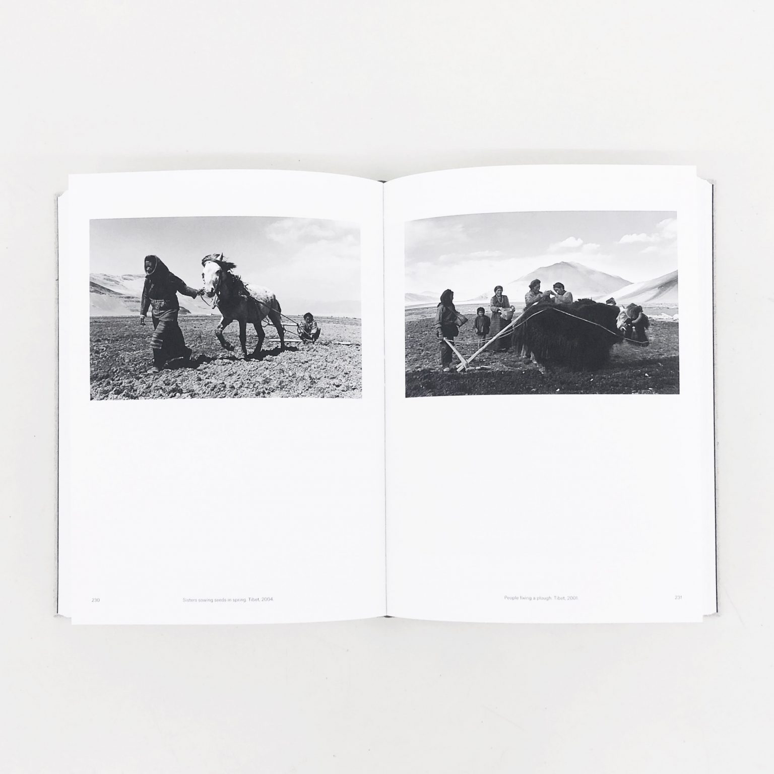 GOST Books launched the English version of Lu Nan's "Trilogy" - Hive ...