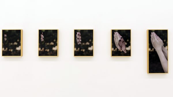 艺术家 - Hive Center for Contemporary Art 蜂巢当代艺术中心