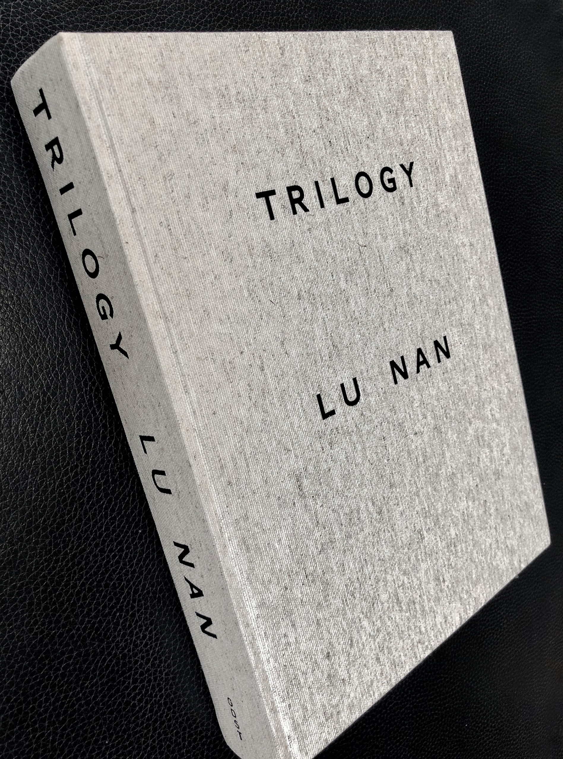 GOST Books launched the English version of Lu Nan's "Trilogy" - Hive ...