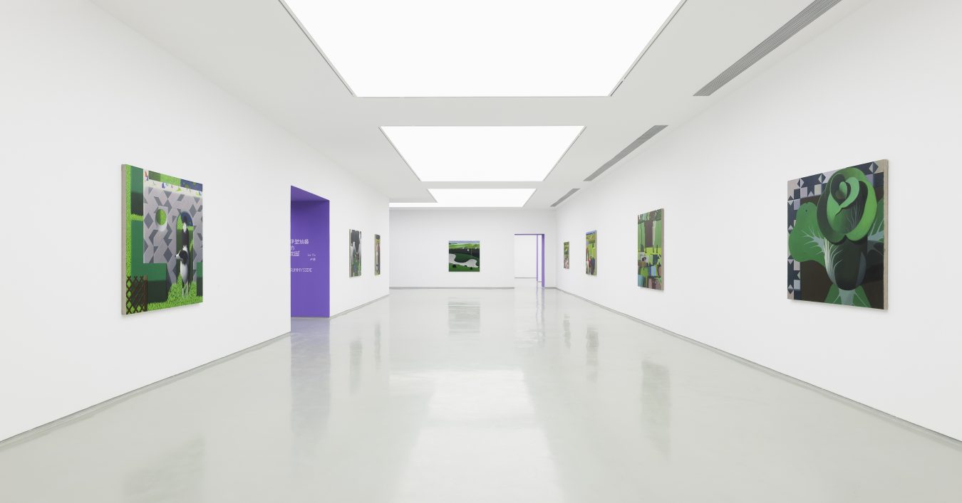 Lu Yu: Sunnyside - Hive Center for Contemporary Art 蜂巢当代艺术中心