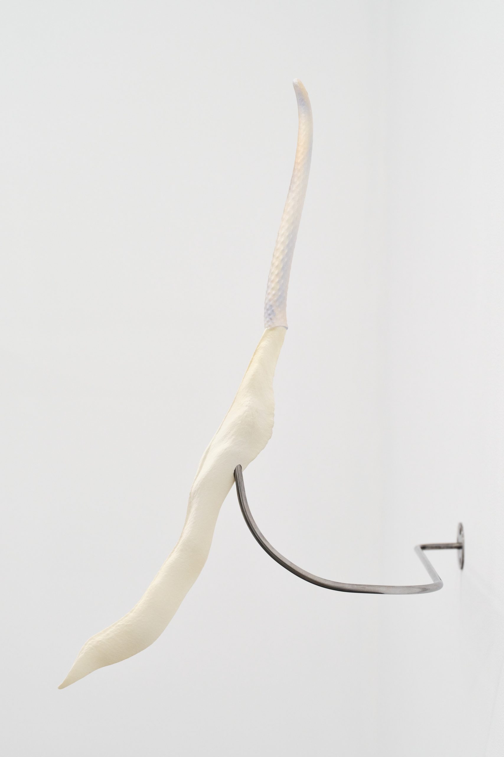 Man Mei-To - Hive Center for Contemporary Art 蜂巢当代艺术中心