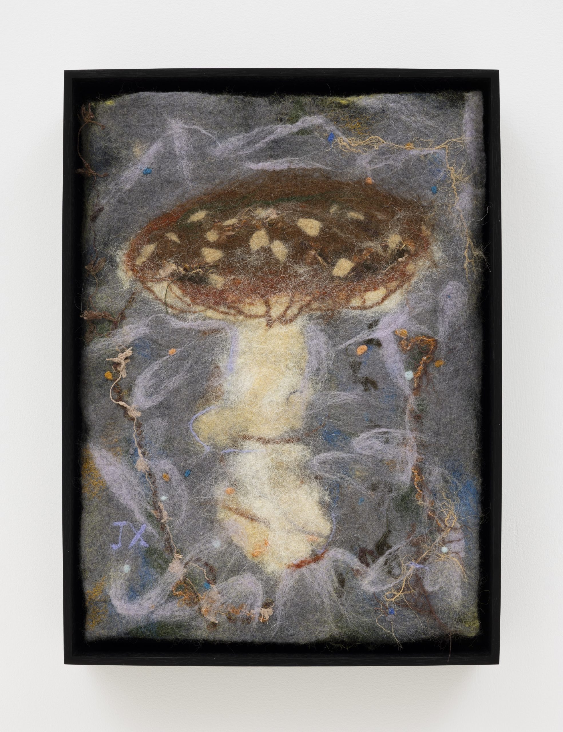 The Textility of Organisms - Hive Center for Contemporary Art 蜂巢当代艺术中心